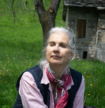 Thoughts on the Translation of «Via Gemito» by Domenico Starnone